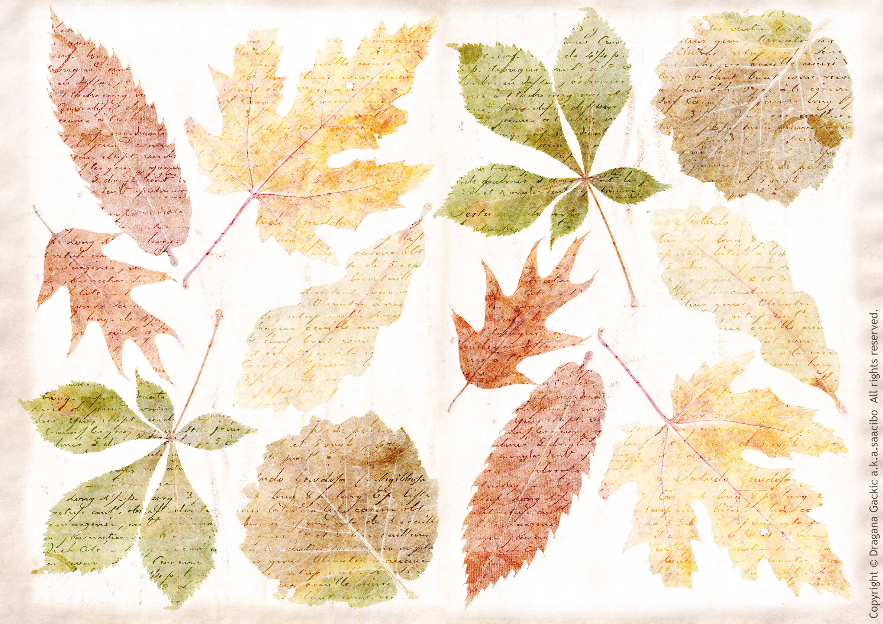 Nature's Slumber Collection Part 1 Autumn Inspired Printables