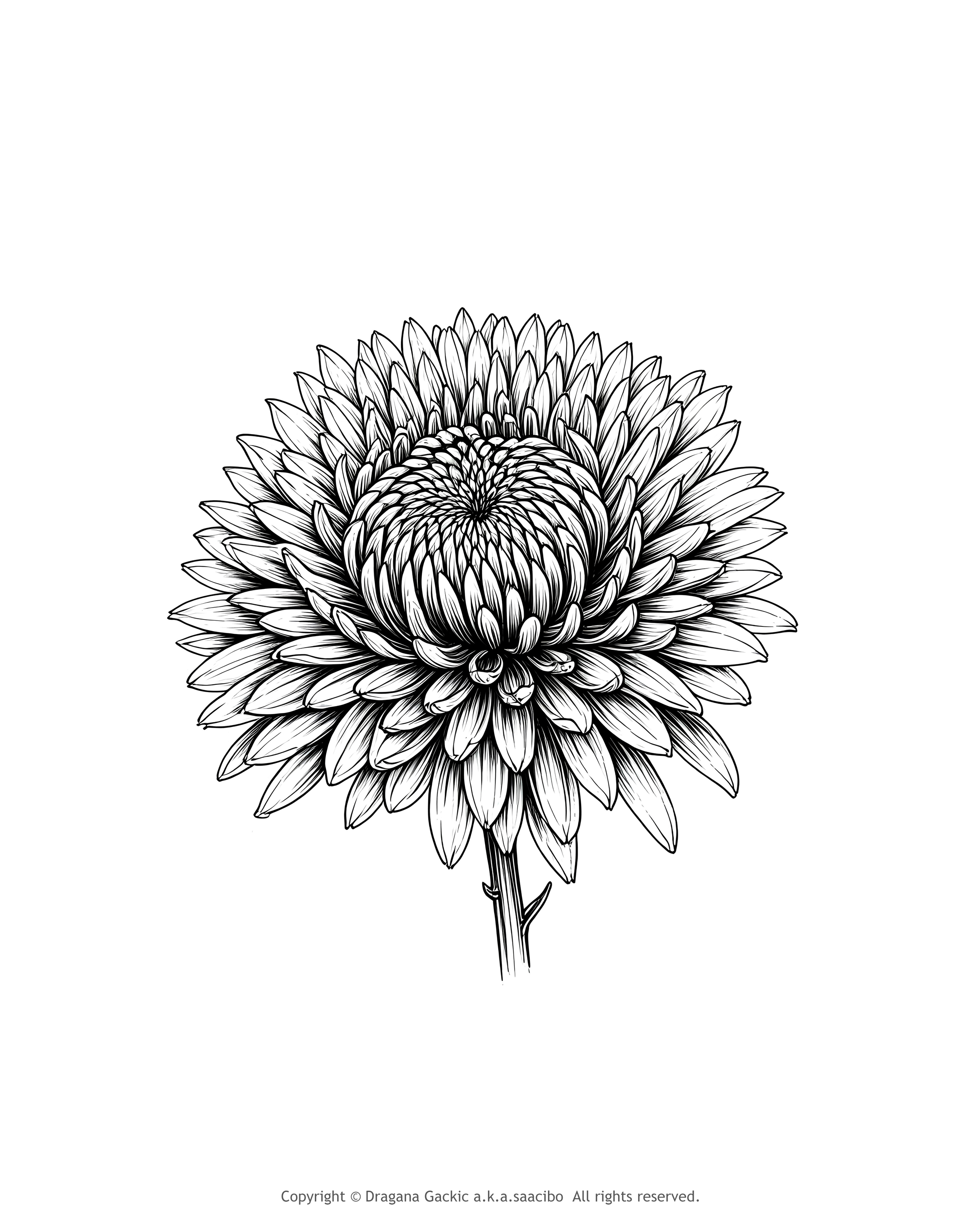 Coloring Book Pages With Large Flowers