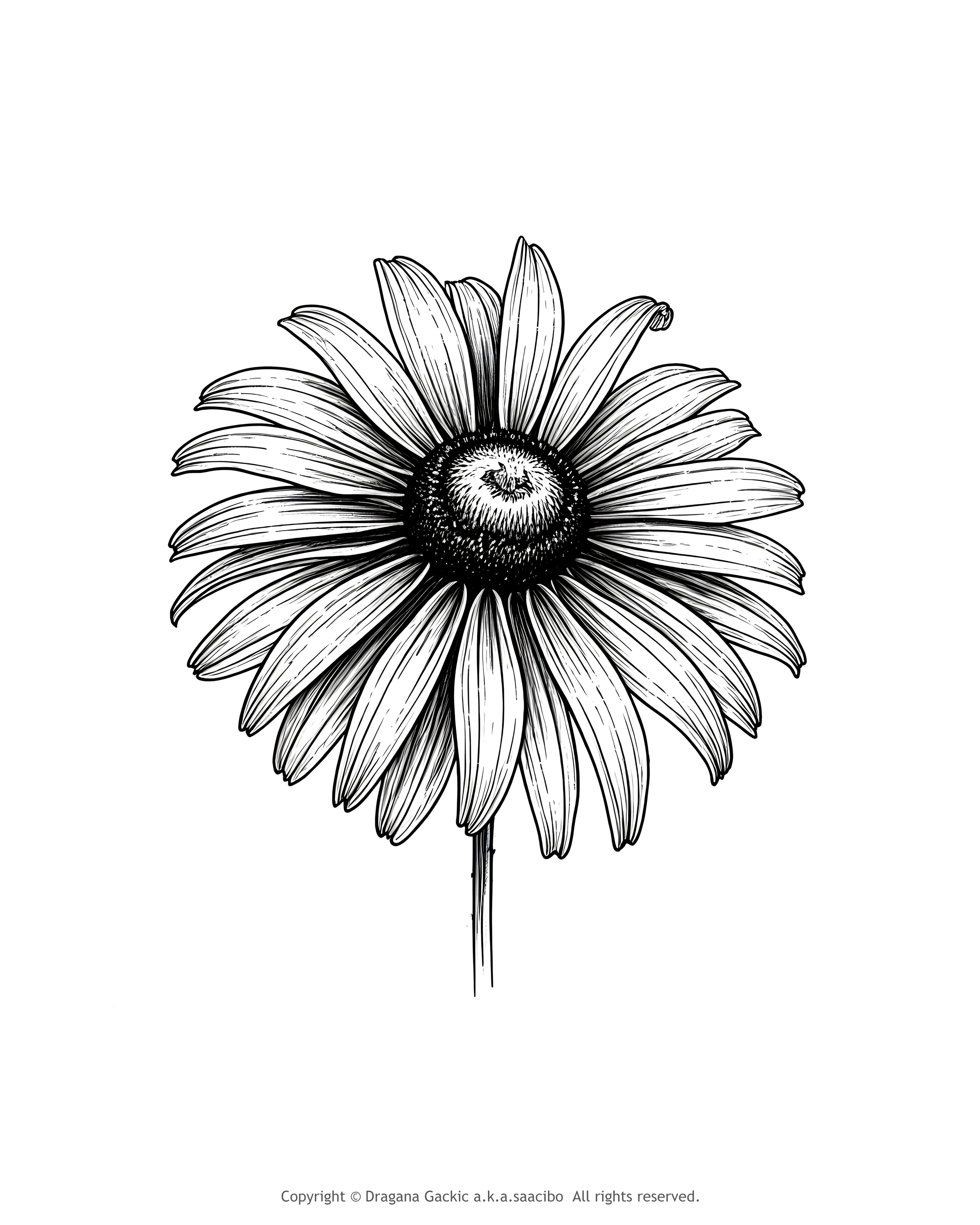 Coloring Book Pages With Large Flowers