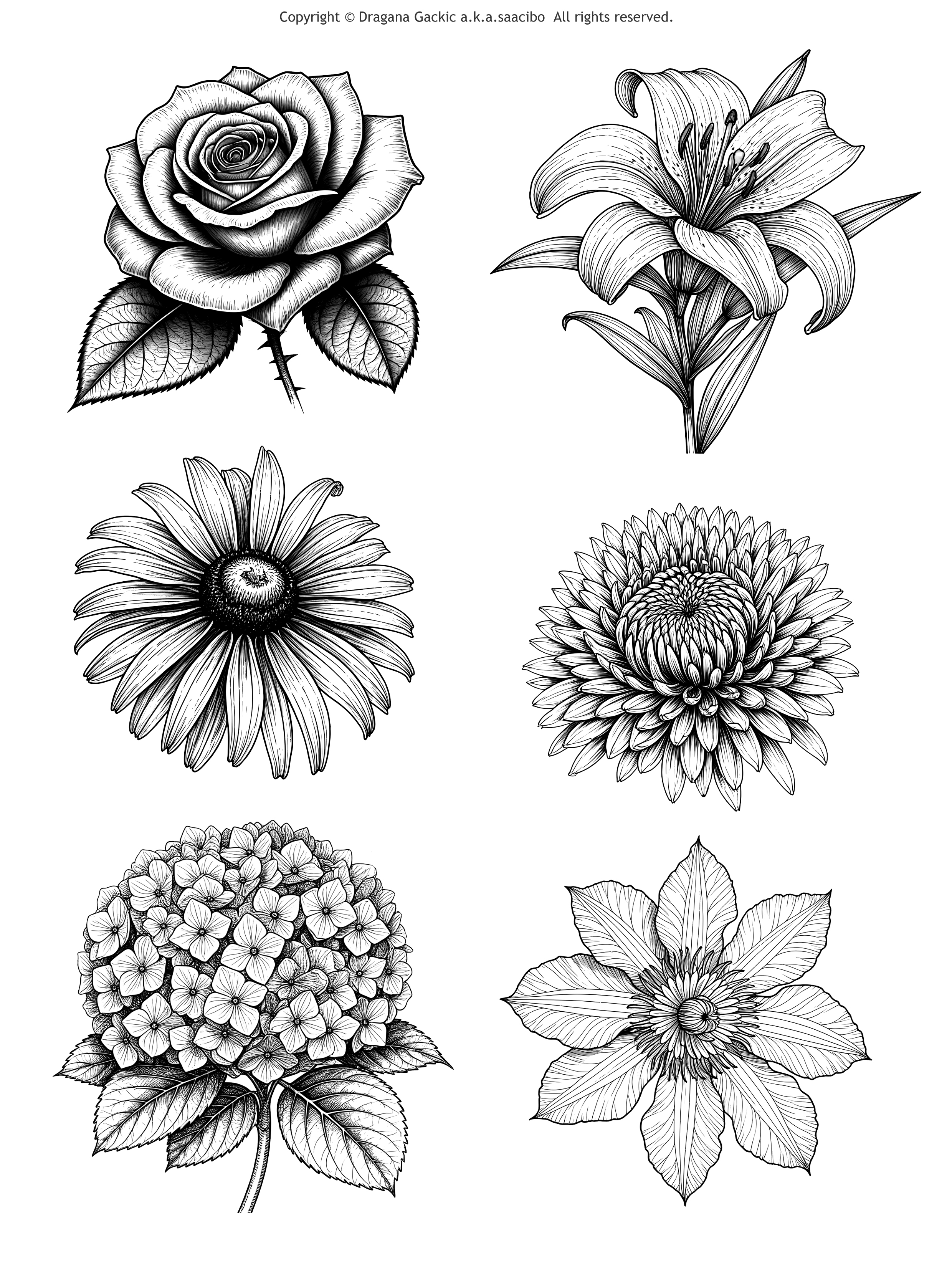 Round Tags & Fussy Cut Flowers Coloring Page