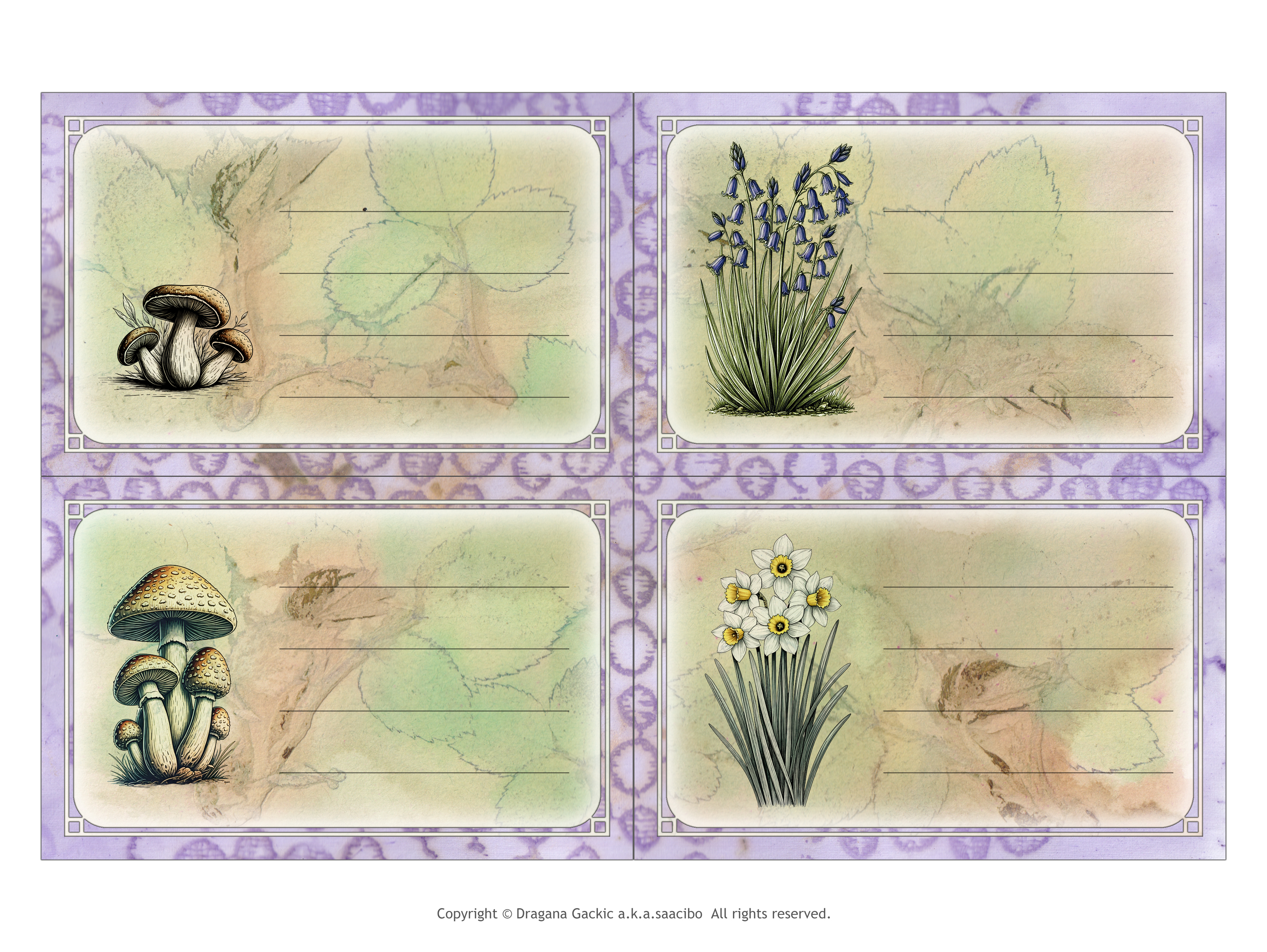 Nature Index Cards