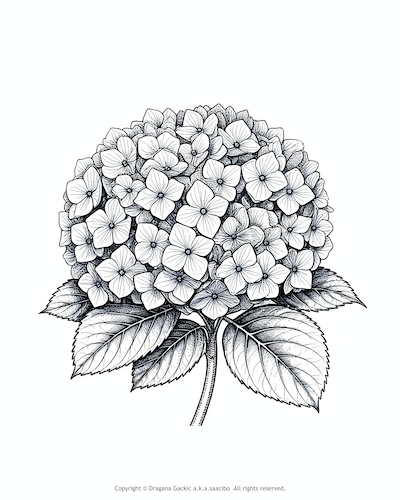 Coloring Book Pages With Large Flowers