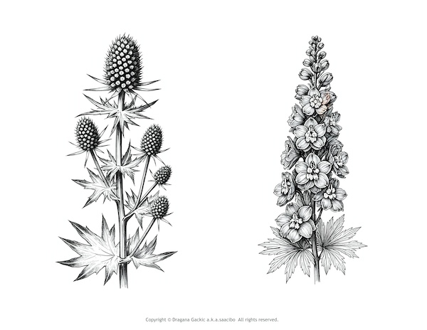 Milk Thistle & Delphinium Printable Coloring Page