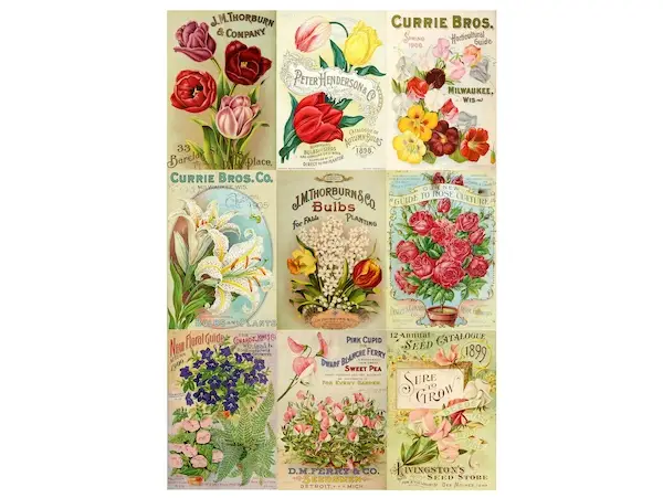 Seed Packets Masterboards